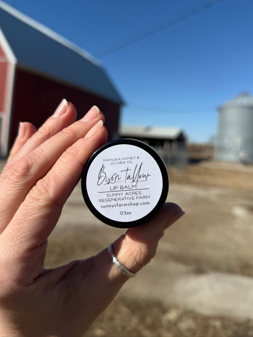 Bison Tallow Lip Balm – Sunny Acres Regenerative Farm